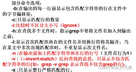 Linux基础知识点2linux系统的文件的符号标识 Csdn博客