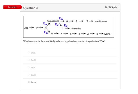 Solved Which Enzyme Is The Most Likely To Be The Regulated