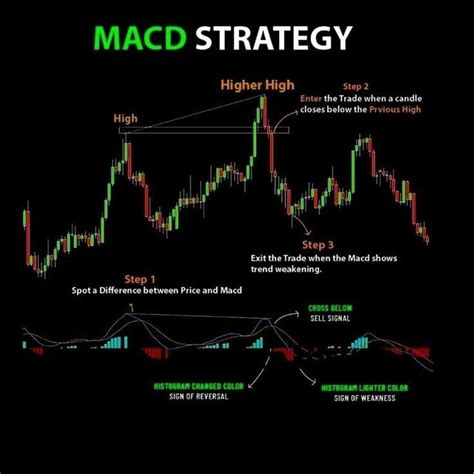 Macd Trading Strategy Beginner Friendly Blueprint