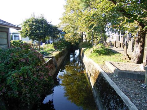 浅舞城 仙北小野寺氏の城館