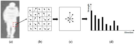 Enhanced Gender Recognition System Using An Improved Histogram Of