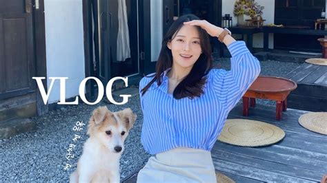 일상vlog 일상브이로그 포리의 첫 외출그리고 목욕 험난하다 일주일브이로그 부지런히 먹고 일하는