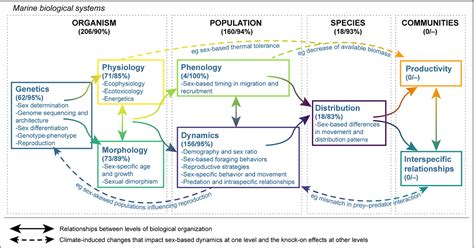 Sex Analysis In Marine Biological Systems Insights And Opportunities