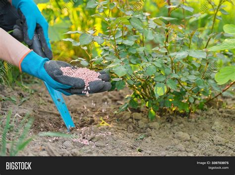 Granules Fertilizer Image Photo Free Trial Bigstock