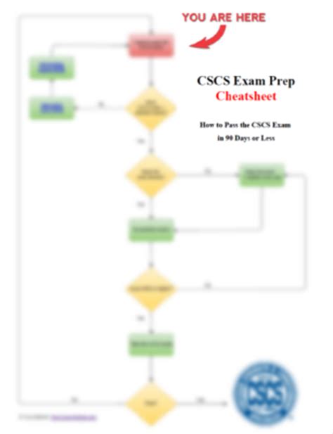 CSCS Exam 1 Free Online CSCS Exam Prep Guide UPDATED 2019