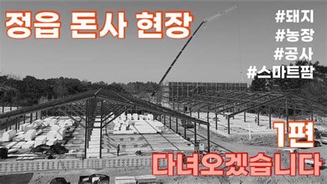 다녀오겠습니다 한국 현대화 돼지 농장은 어떻게 만들어지는건가요정읍 돈사 공사 1편 돼지 Ict 농장 돈사 피그월드 정읍 전북 양돈 스마트팜 현대화