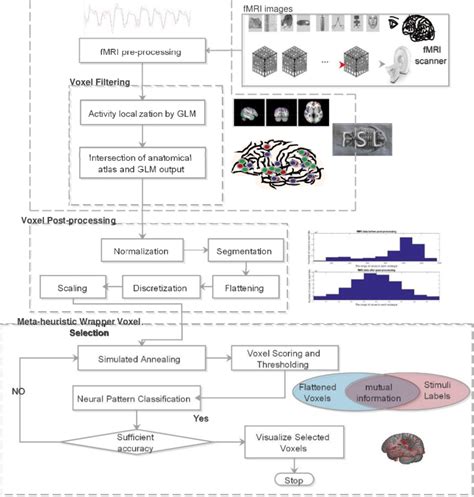 The Proposed Framework For Meta Heuristic Voxel Selection Based On Download Scientific Diagram