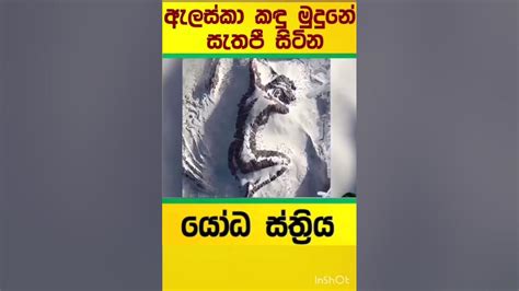 ඔබ මේ දේවල් දකින්නේ ජීවිතේ පලමු වතාවට 😱 Shorts Youtube