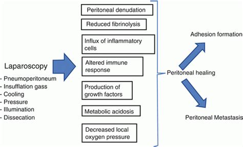 Creating The Pneumoperitoneum Basicmedical Key