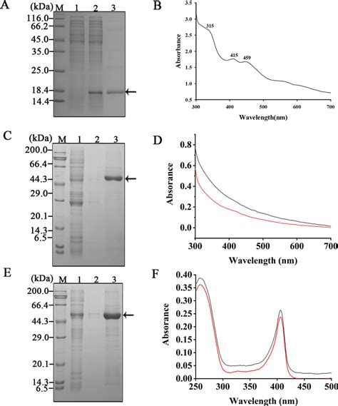 Analysis Of The Added Edta Na2 On Chromophores In Two Colored Proteins Download Scientific