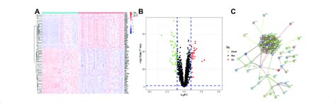 Figure1 Identification Of Candidate Genes A Heatmap Of Differential