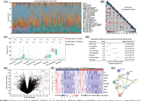 Figure 2 From Using Multi Omics Analysis To Explore Diagnostic Tool And Optimize Drug Therapy