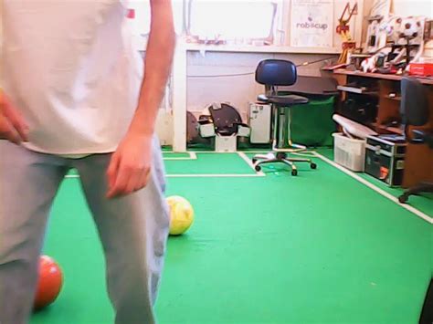 Dataset 31 05 Instance Segmentation Dataset And Pre Trained Model By Projeto Integrador