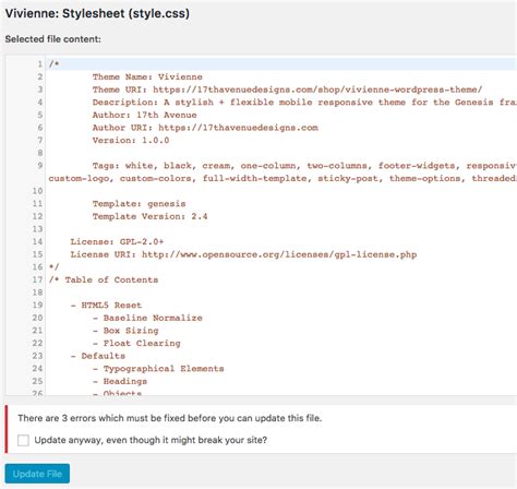 Css Errors And Unable To Save Functionsphp 17th Avenue Support Desk