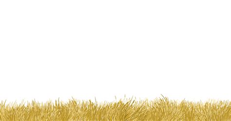 Cropdata Connecting Farmers