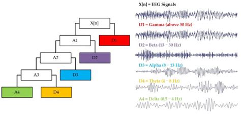 Entropy Special Issue Assessing Complexity In Physiological Systems Through Biomedical