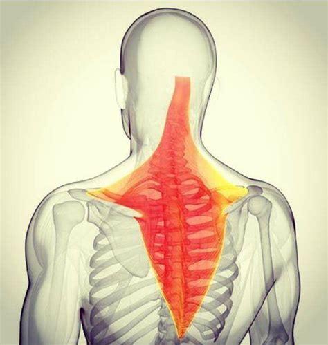 Домашна рехабилитация Бургас Възстановителният период след смяна на става е ключов за