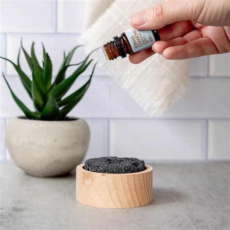 Essence Of Lava Rock Passive Diffuser Rocky Mountain Oils