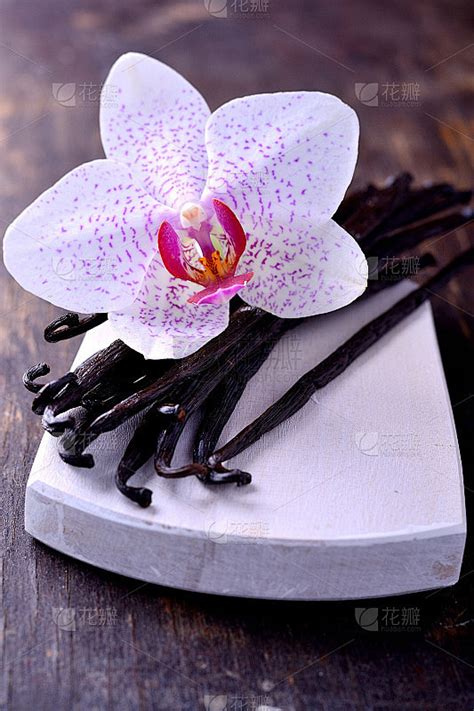 香草荚和花的木制背景