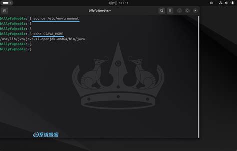 如何在 Ubuntu 24 04 LTS 上安装 Java 系统极客 如何在 Ubuntu 24 04 LTS 上安装 Java 系统极客