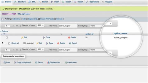 How To Disable All Wordpress Plugins Directly From The Database
