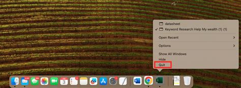 How To Force Quit On Excel Mac Step By Step Myexcelonline