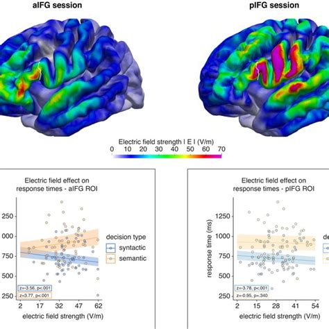 Electric Field Simulations Revealed Differential Effects Of Anterior