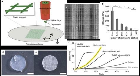 8 A Schematic Representation Of The Fabrication Of 3d Printed Pcl Download Scientific