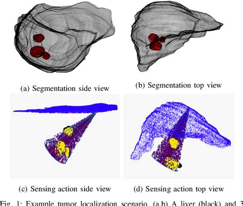Figure 1 From Planning Sensing Sequences For Subsurface 3d Tumor Mapping Semantic Scholar