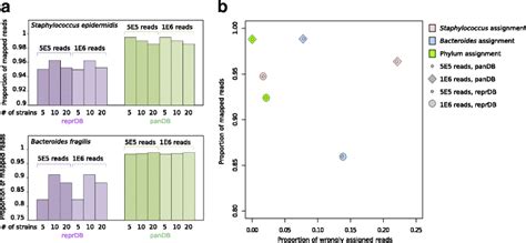 Read Classification Of Low Complexity In Silico Synthetic Communities