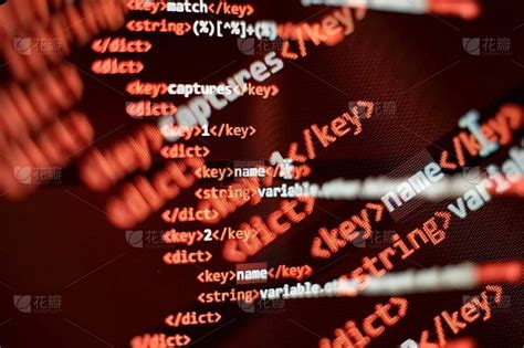 软件开发人员编程代码。摘要计算机脚本代码。有选择性的重点