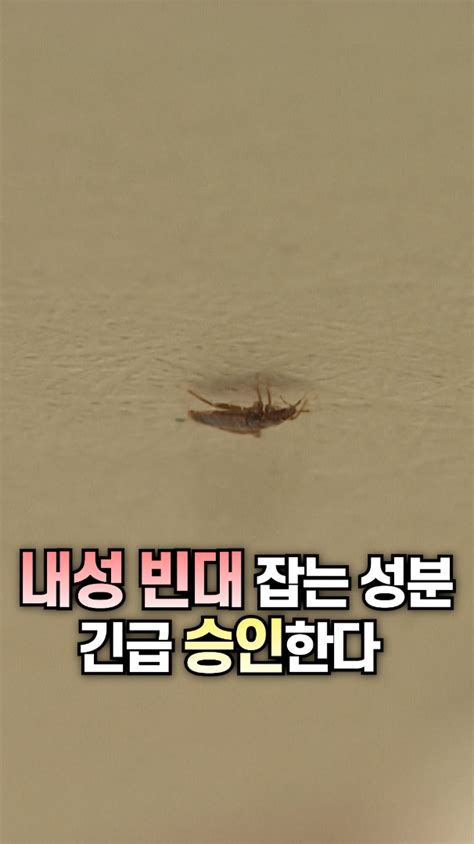 ‘내성 빈대 잡는 성분 긴급 승인한다 디노테퓨란 다음 루프