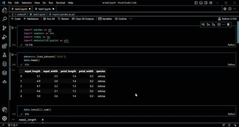 manahel ansari on linkedin codsoft datascience