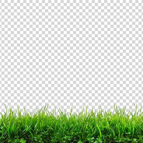 Зелёная трава изолирована на прозрачном фоне Премиум Ai сгенерированный Psd