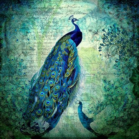 Peacock Wall Art Etsy