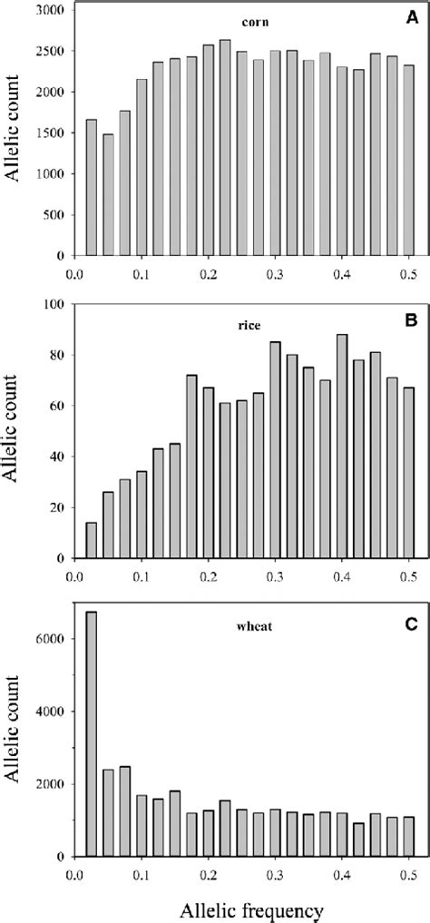 Frequency Distribution Of The Minor Alleles In Each Snp Genotype Data Download Scientific