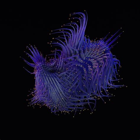 Anuj Yadav On Linkedin Blender3d Geometrynodes