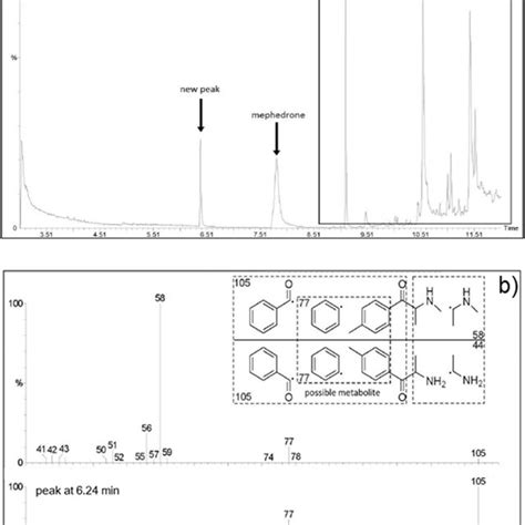 Sample Chromatogram A And Mass Spectra B Peak Appearing At 6 24 Min