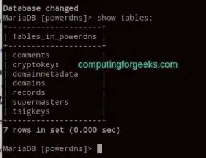 Install PowerDNS And PowerDNS Admin On Debian ComputingForGeeks