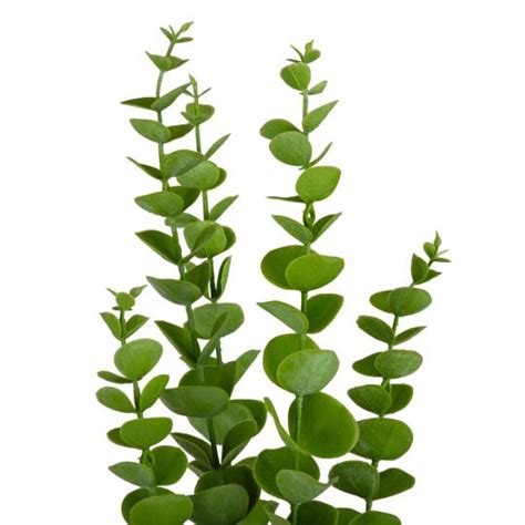 ᐉ Набір штучних гілок Elisey Евкаліпт 75 см 2 шт 9088 016 • Краща ціна в Києві Україні