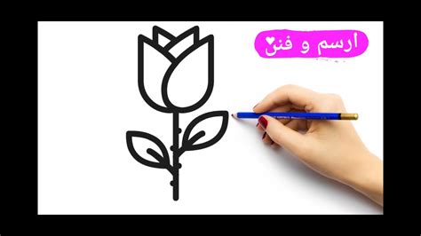 رسم زهرة التوليب طريقة رسم وردة Youtube