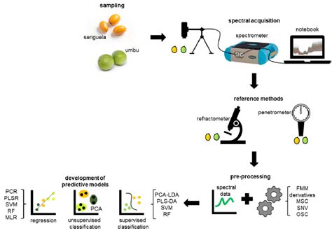 Experimental Steps To Build Prediction And Classification Models Pcr Download Scientific