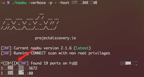 Results Are Not Displayed At Real Time Issue Projectdiscovery