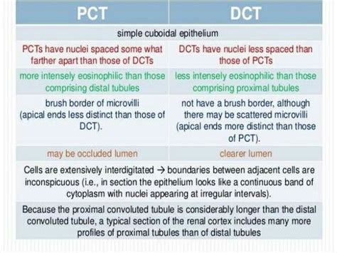 Pct And Dct Histology Pct Border Inbox Screenshot