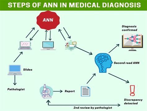 Fundamental Steps In Artificial Neural Networks Based Medical Diagnosis