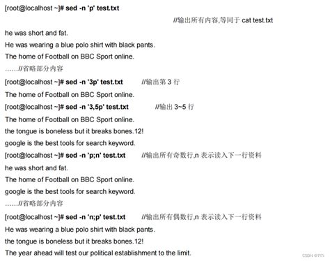 04 Shell编程之正则表达式与文本处理器 Csdn博客
