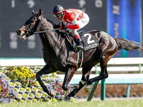 【次走】水仙賞を勝利のレッドヴェロシティは青葉賞を予定 競馬ニュース Netkeiba