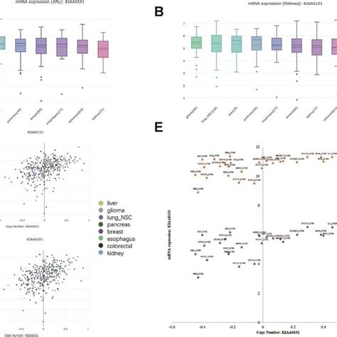 Rna Sequencing Differential Analysis Transcriptomic Coexpression And Download Scientific