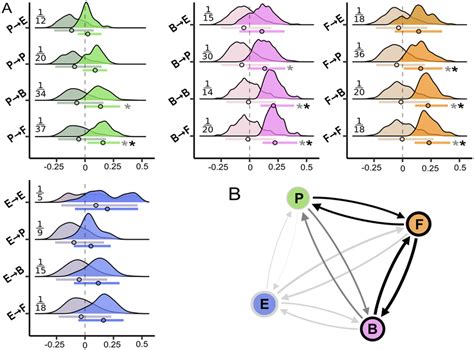 Directed Coupling Between A Biotic Ecosystem Constituents Bacteria