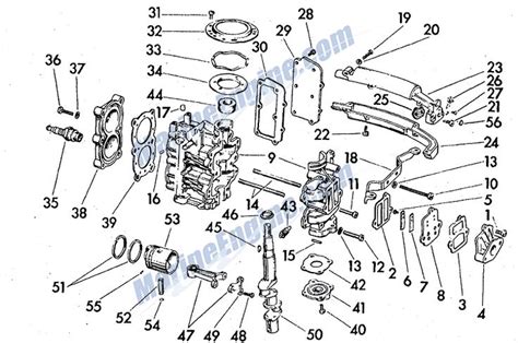 15 Hp Evinrude Parts Diagram Julia Electrical